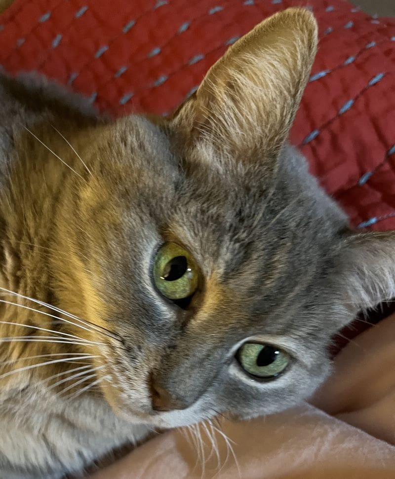 Novice Activity - Two Benedictine Verses to Guide Every Day - St ...