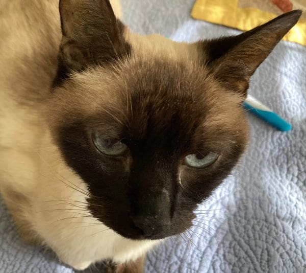 Yuri – Marietta, Georgia - St. Benedict's Toolbox Annex